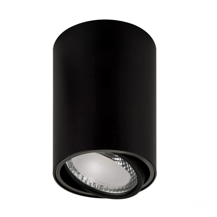 Nella Adjustable Surface Mounted Downlight Built in LED 12w – In Focus ...